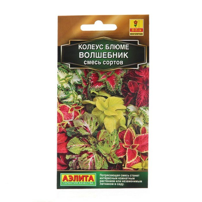 Семена Колеус «Волшебник», смесь сортов, 5 шт.