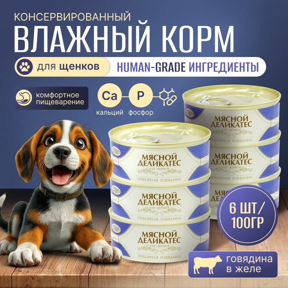 Yummy Мясной Деликатес Влажный корм для щенков Говядина натуральная в желе, 100 г. * 6 шт.