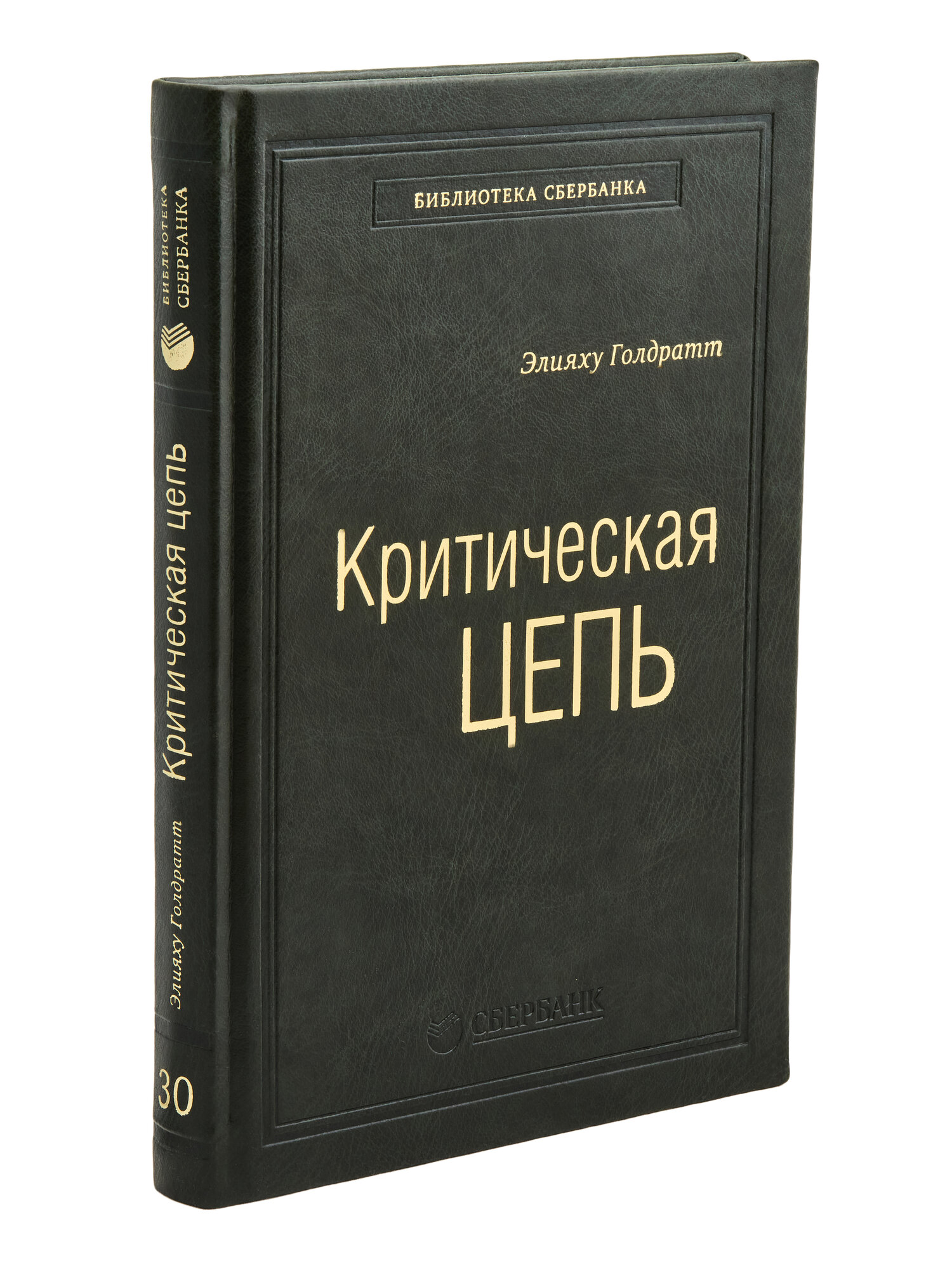 Критическая цепь. Том 30 (Библиотека Сбера)