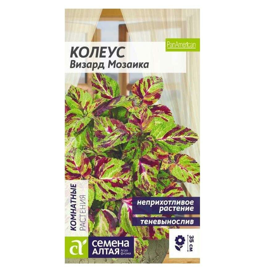 Семена Колеус Визард Мозаика 8 шт Семена Алтая