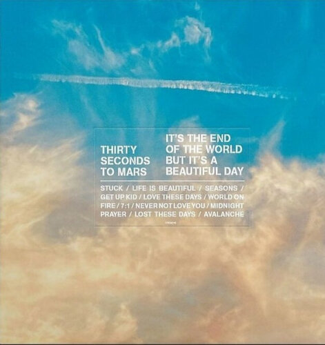 Виниловая пластинка Universal Music Thirty Seconds To Mars - It's The End Of The World But It's A Beautiful Day (Orange Vinyl)