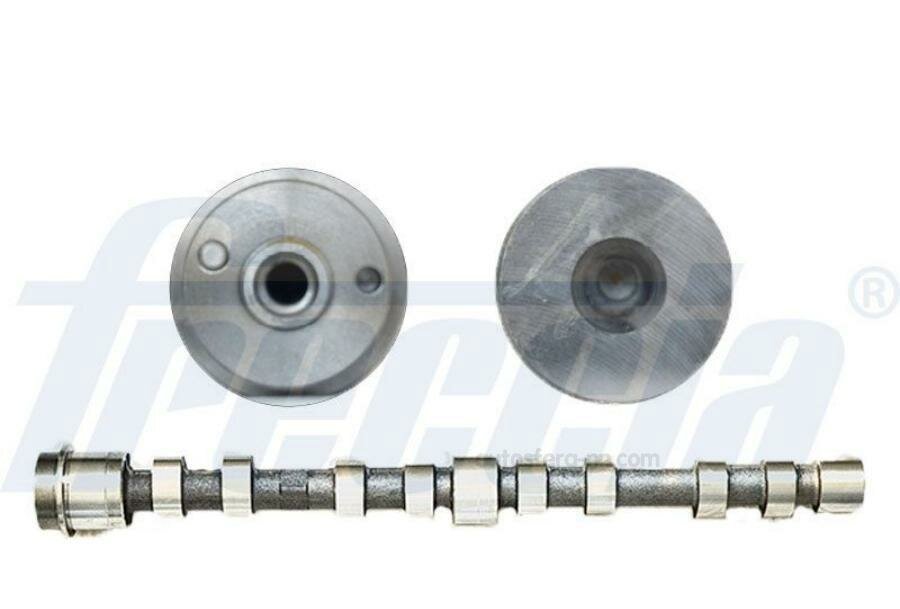 FRECCIA CM052273 распредвал! (впуск)\ Cirtroen, Fiat, Iveco Daily 3.0HDI 04>