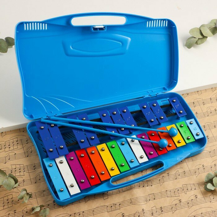 Музыкальный инструмент Металлофон Music Life, 25 тонов, футляр, 2 палочки, синий, 10135658