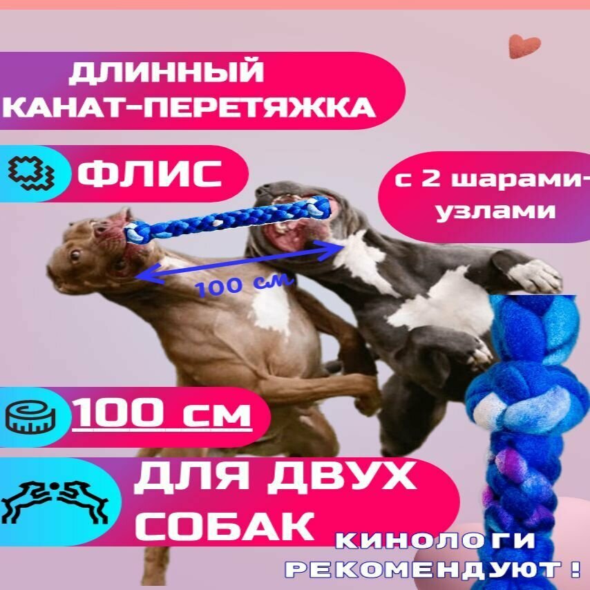 Канат - перетяжка для двух собак, очень длинный