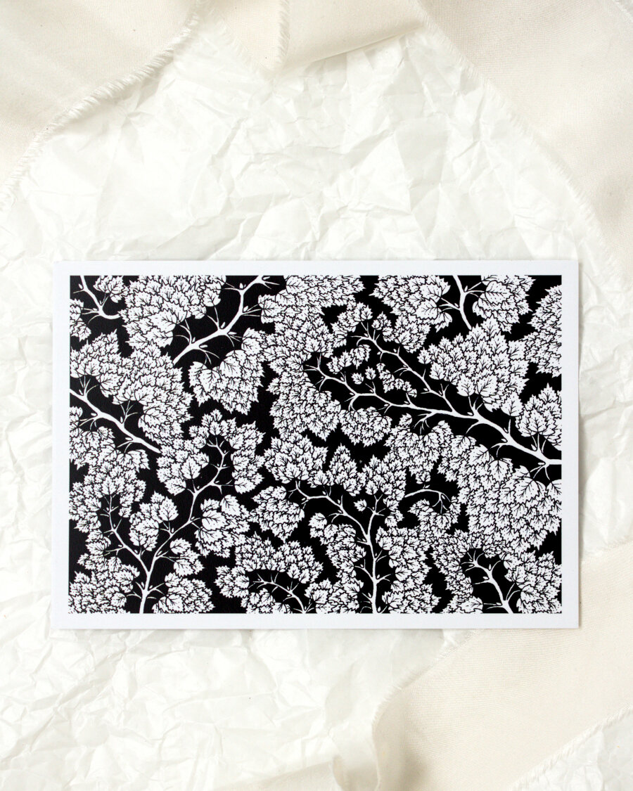 Открытка для посткроссинга или поздравлений Береза