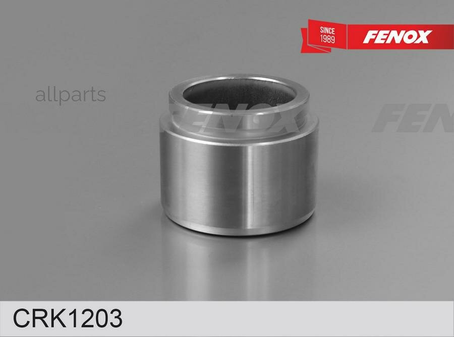 FENOX CRK1203 Ремкоплект тормозного суппорта Opel Frontera A (U92) 92-98 Mazda CX-5 (KF KE GH) 12- BMW 7 (E38