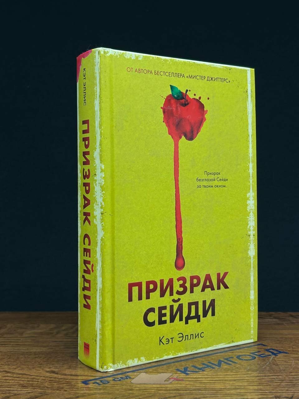Книга. Призрак Сейди 2022 (2042125539674)