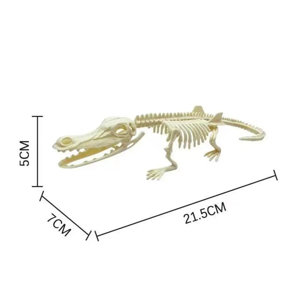 Скелет Сухомима, 21.5см, Suchomimus Skeleton