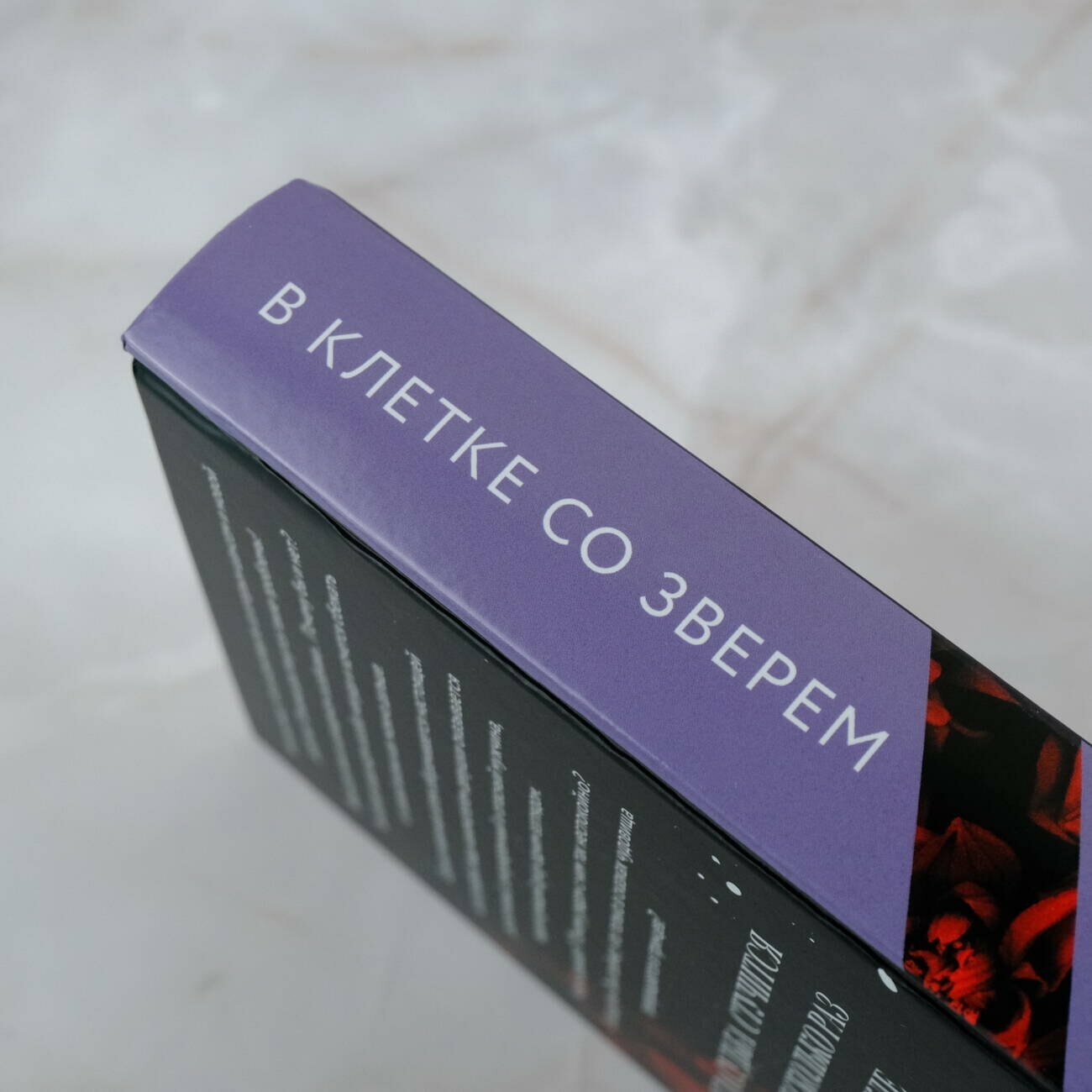 В клетке со зверем — фото 1