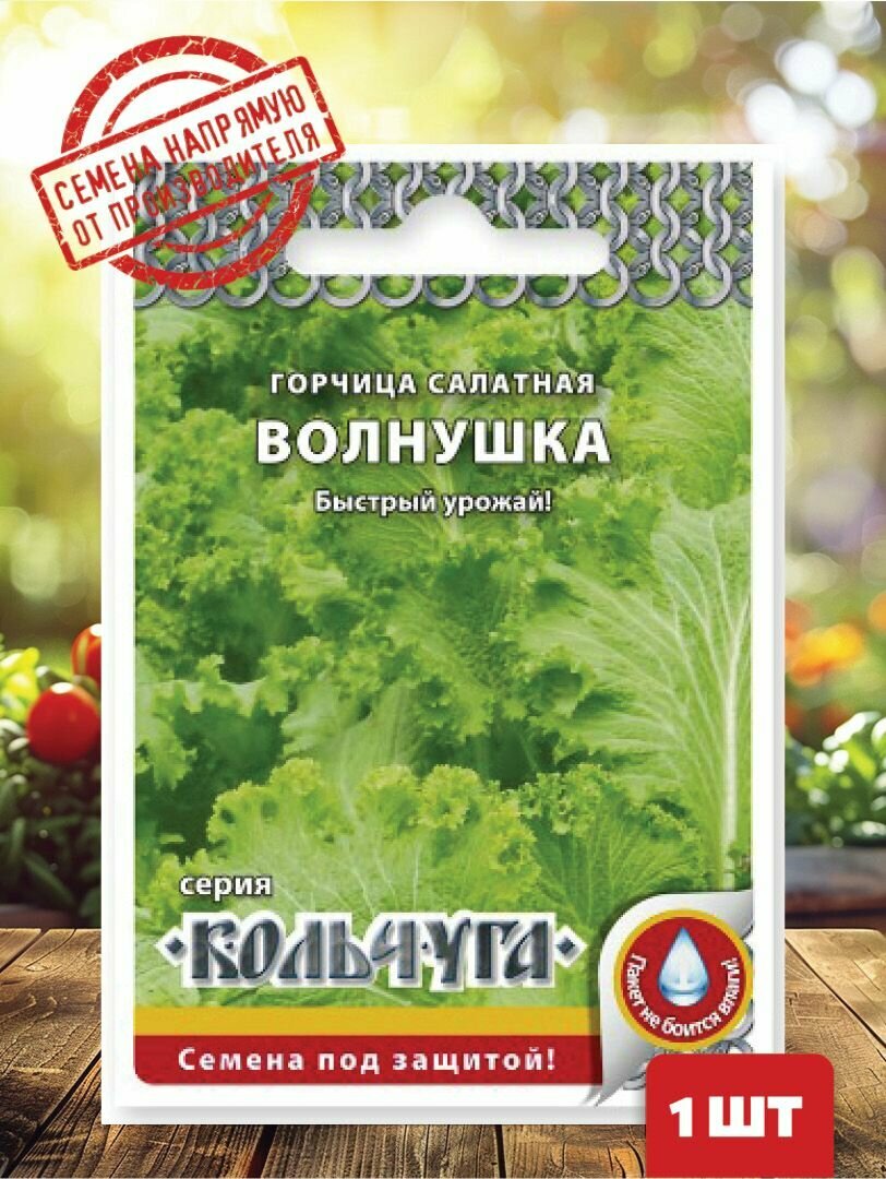 Cемена Горчица салатная Волнушка "Кольчуга NEW"