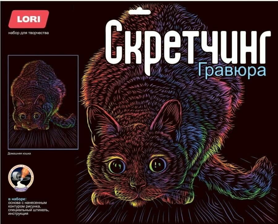 Гравюра LORI "Скретчинг", Неоновые животные, Классика, Домашняя кошка, 30х40 см