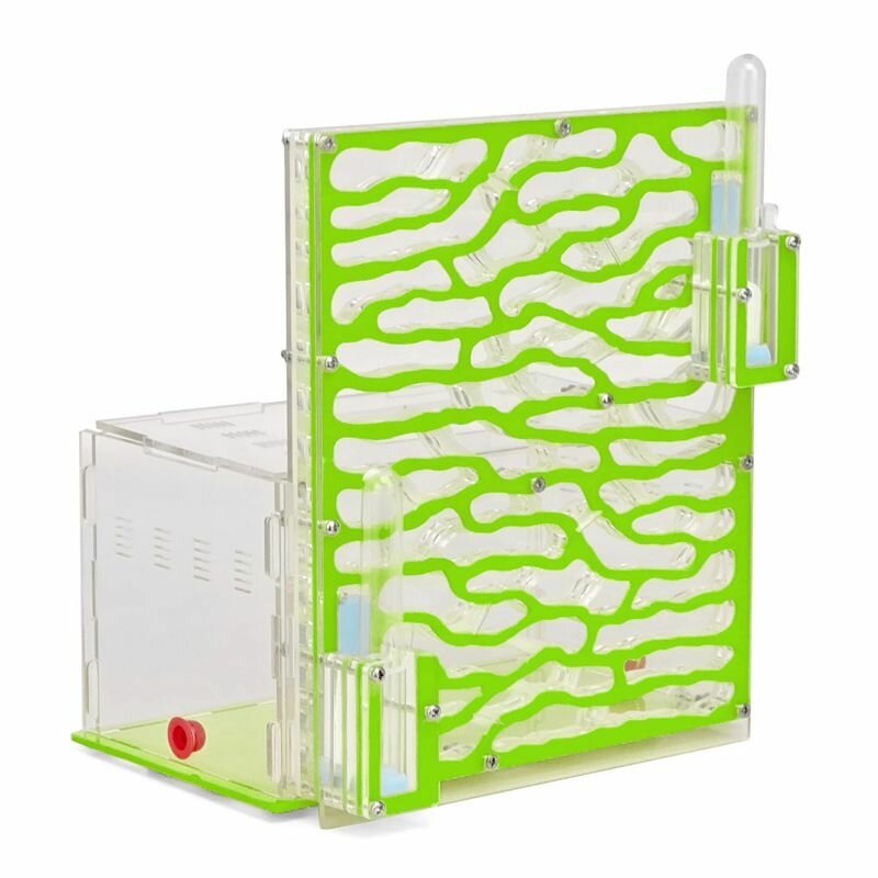 Муравьиная Ферма Большая