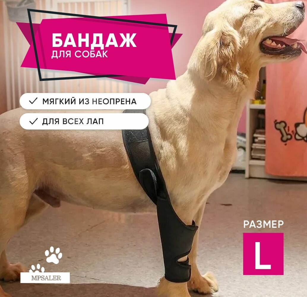 Бандаж для собак на заднюю и переднюю лапу. На локтевой и коленный сустав. Размер L
