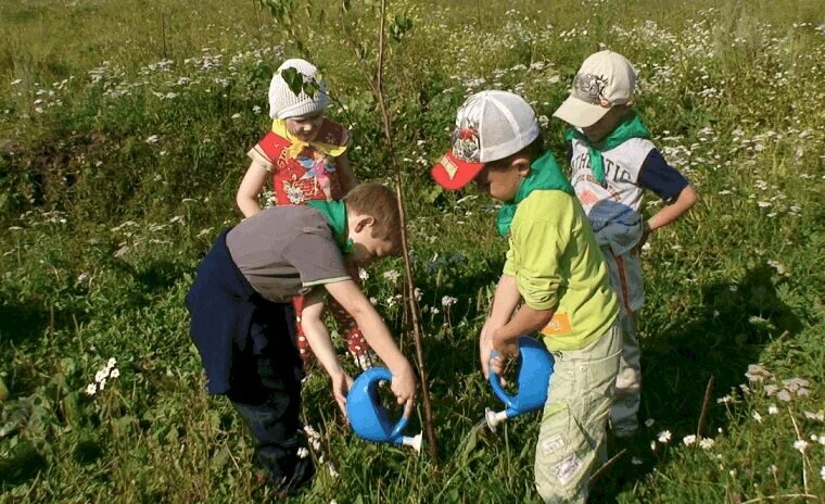 Экологическое воспитание детей дошкольного возраста при организации опытно-исследовательской деятельности