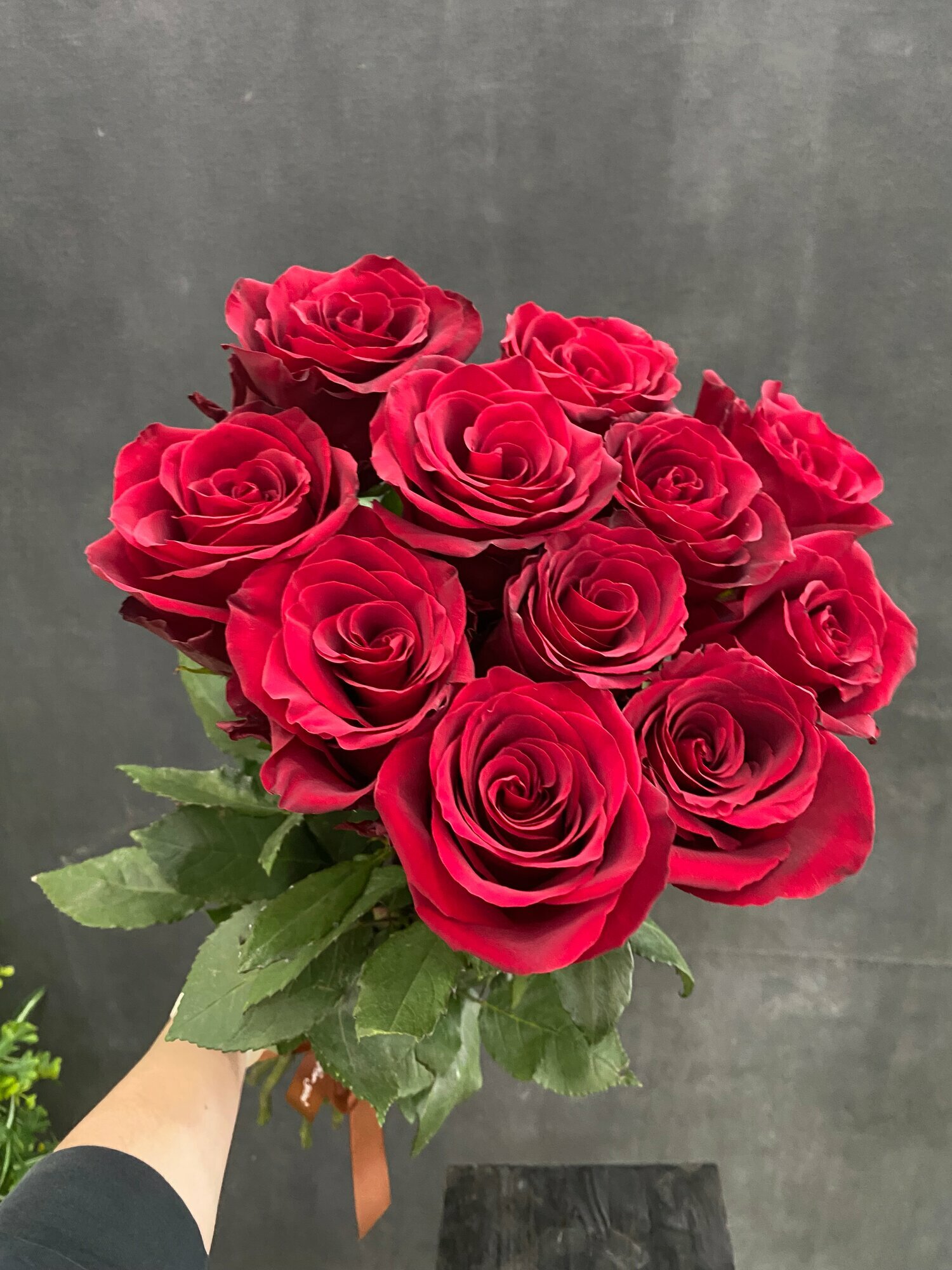 Высокие красные розы по привлекательной цене Эксплорер 80 см 11 шт.