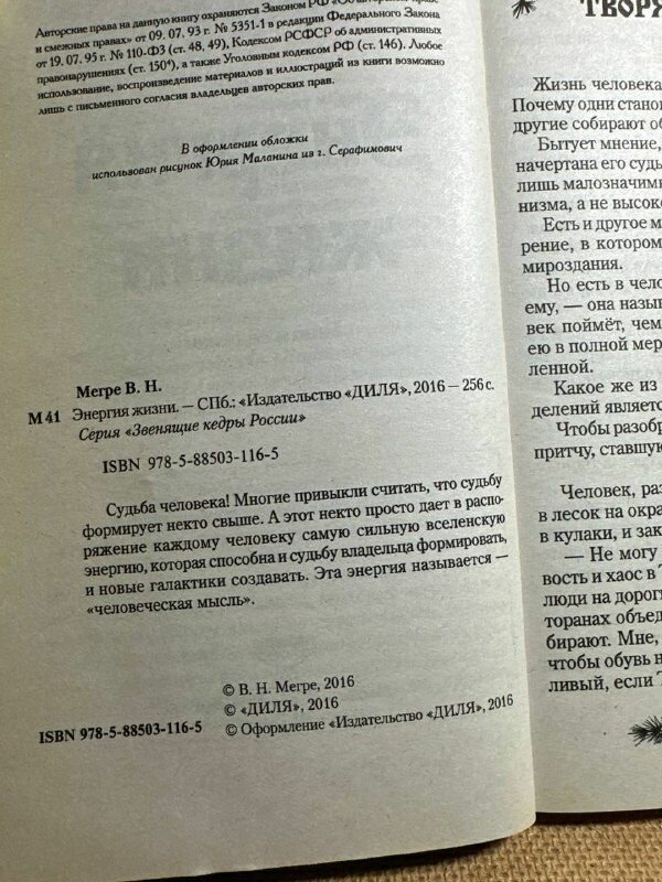 Энергия жизни — фото 1