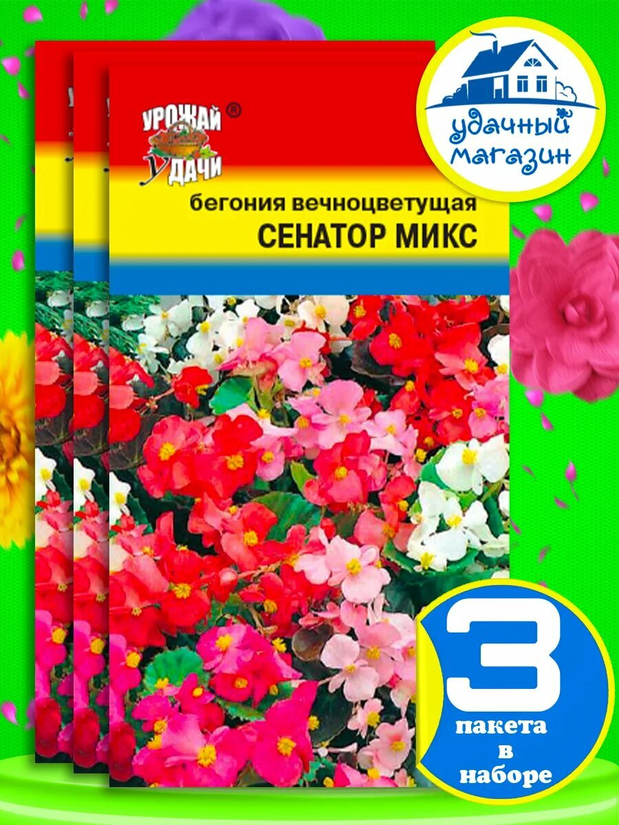 Семена бегонии вечноцветущей