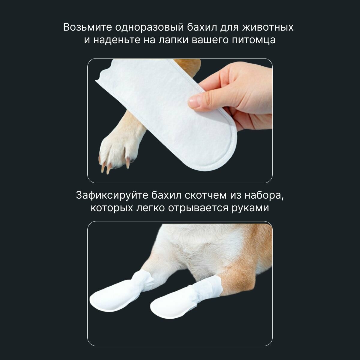 Обувь для собак