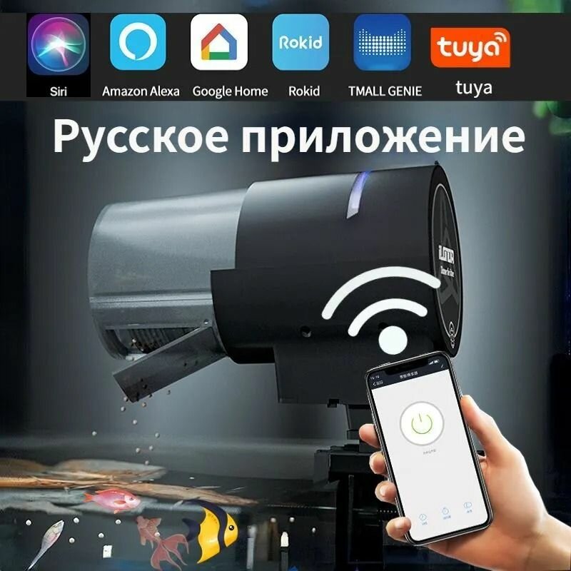 Автокормушка