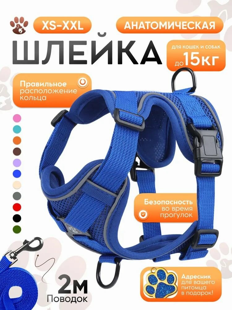 Шлейка для собак мелких пород анатомическая, с поводком 2 метра , размер M, цвет синий