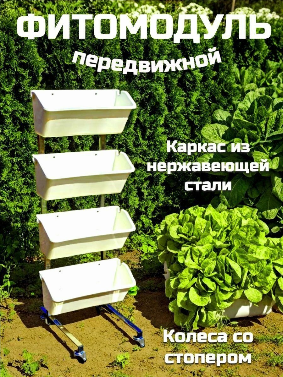 Фитомодуль