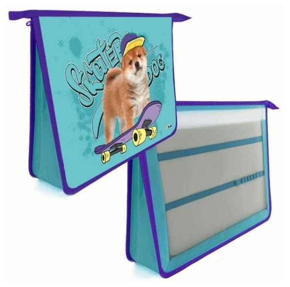 Папка для труда А4 Оникс ПТР-13 Skater dog, на молнии, с перегородкой