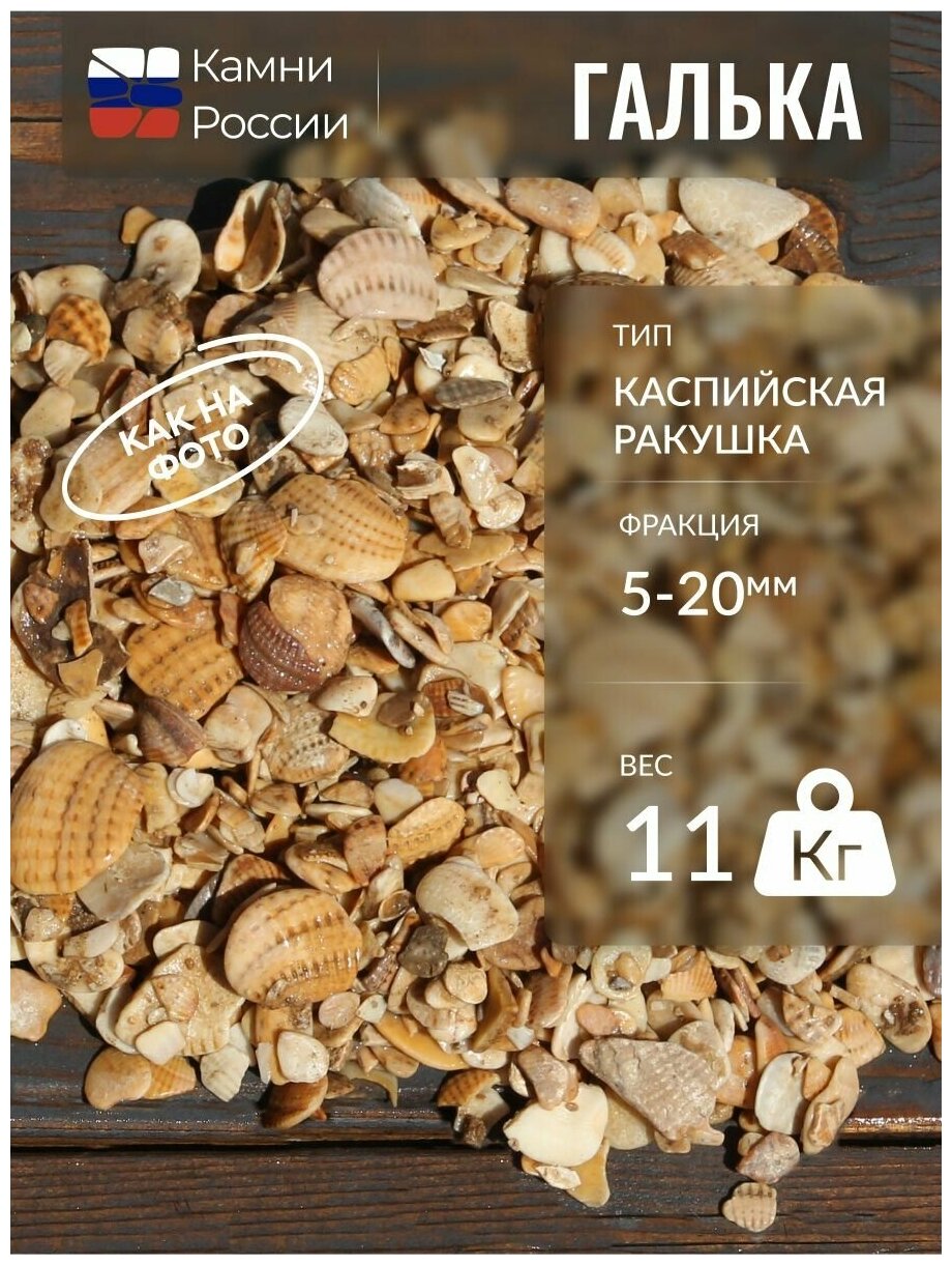 Галька Каспийская Ракушка (5-20мм, упаковка - 11кг)