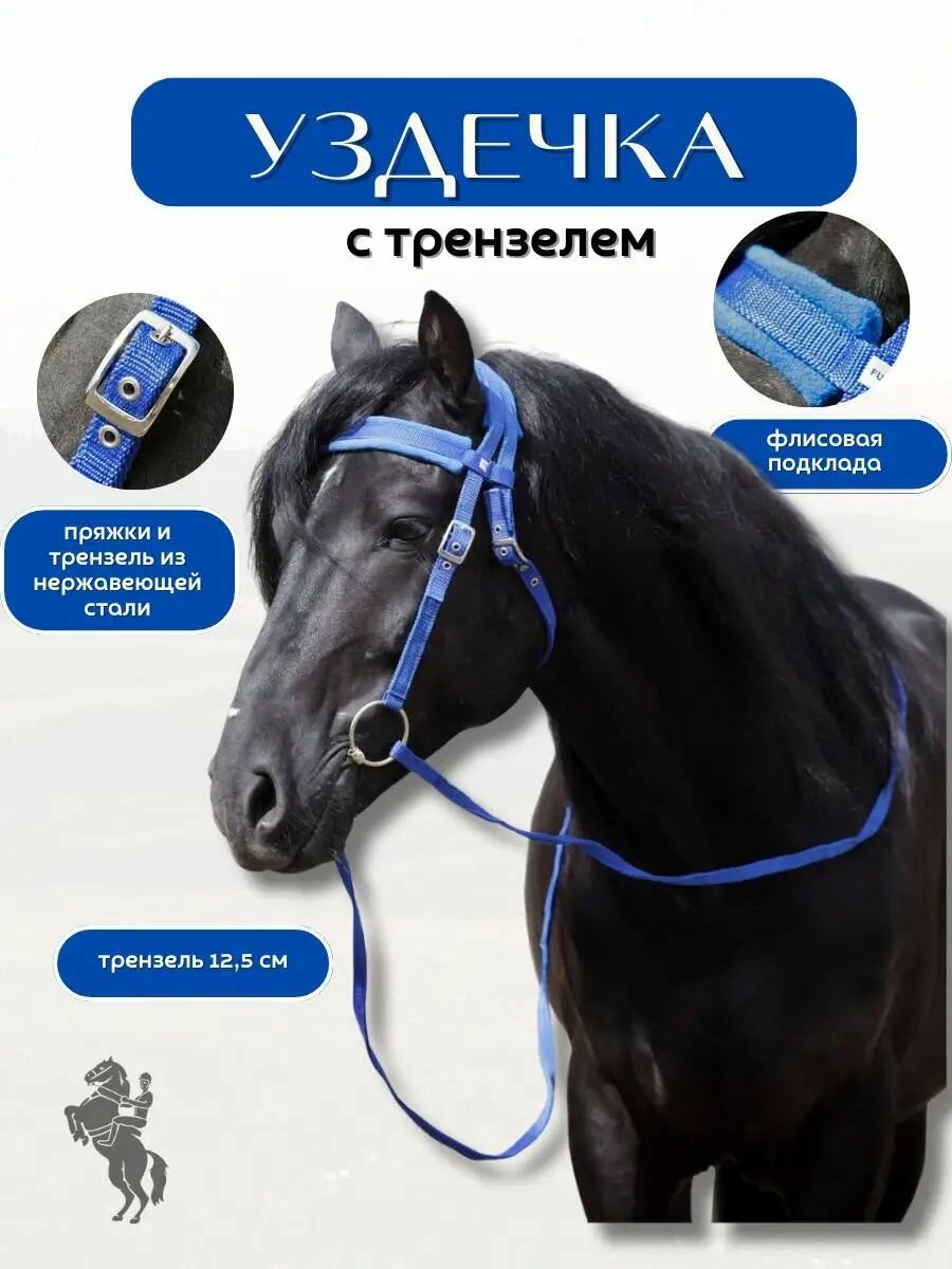 Sweethorse / Уздечка с трензелем и поводом для лошади , синий