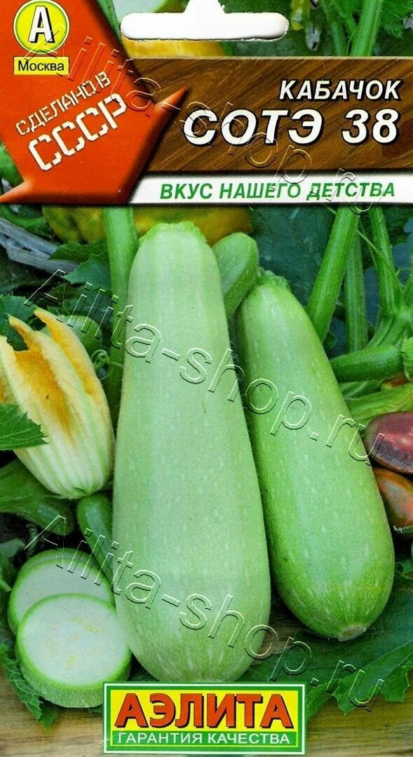 Кабачок Сотэ 38 (3 упаковки), семена