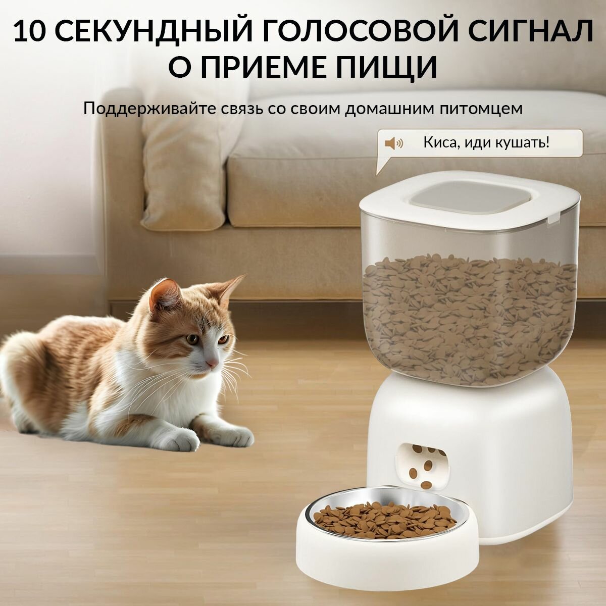 Автокормушка — фото 1