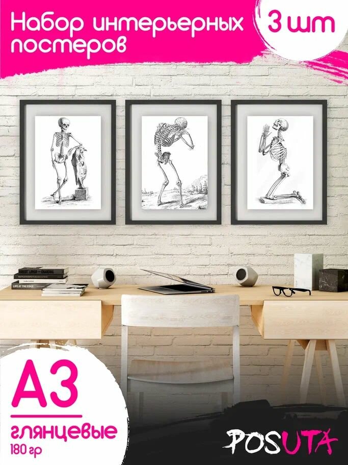 Постеры скелет человека Плакаты для медиков skeleton