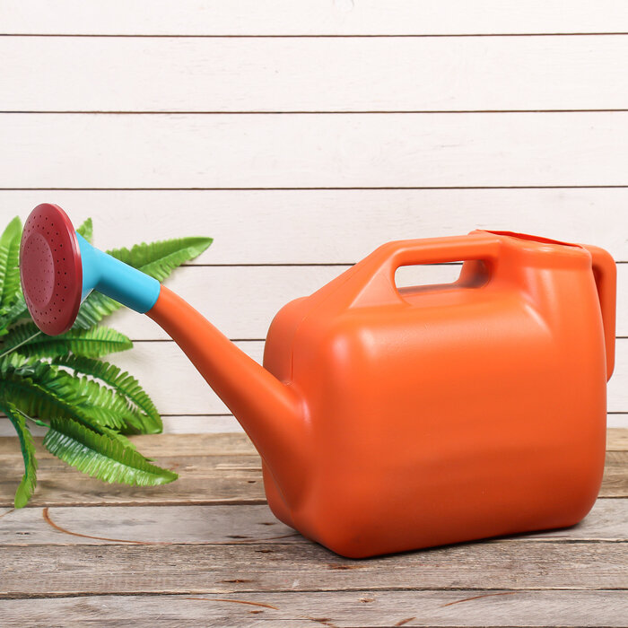 Лейка, 10 л, с рассеивателем.