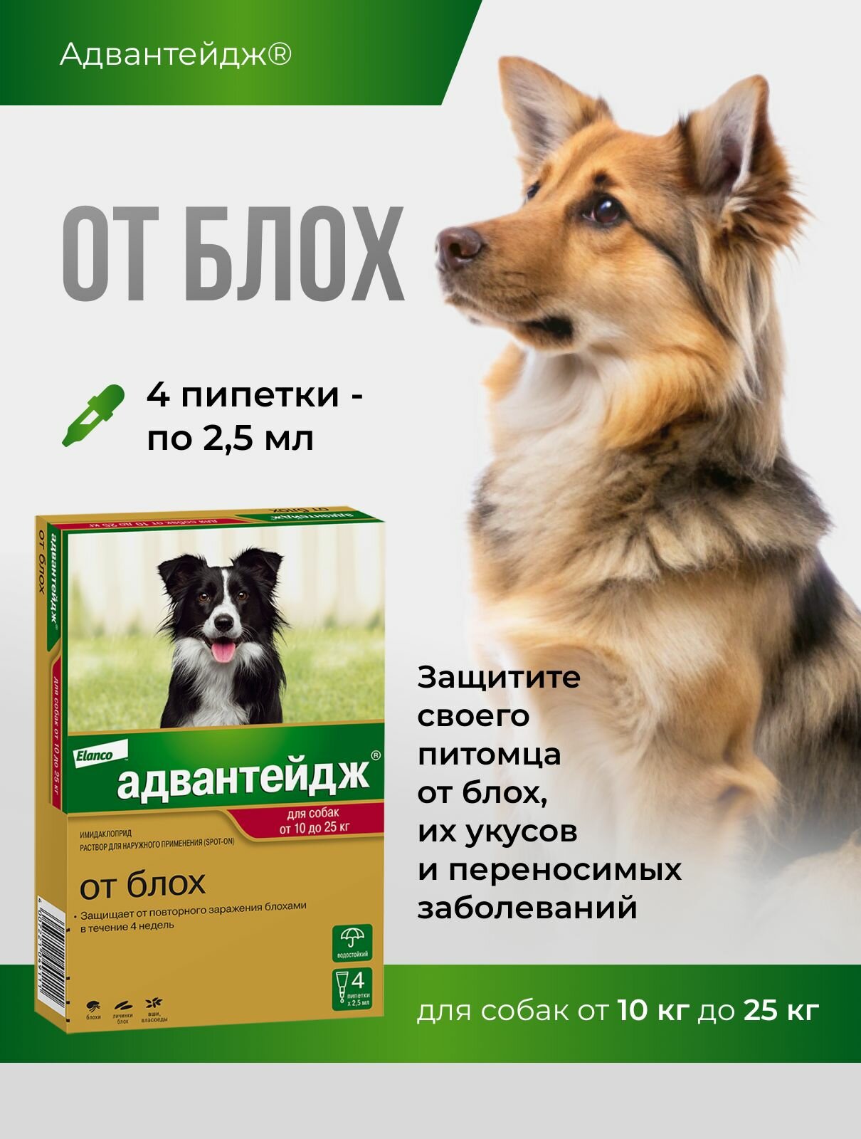 Адвантейдж для собак массой от 10 до 25 кг, 4 пип Капли на холку От блох