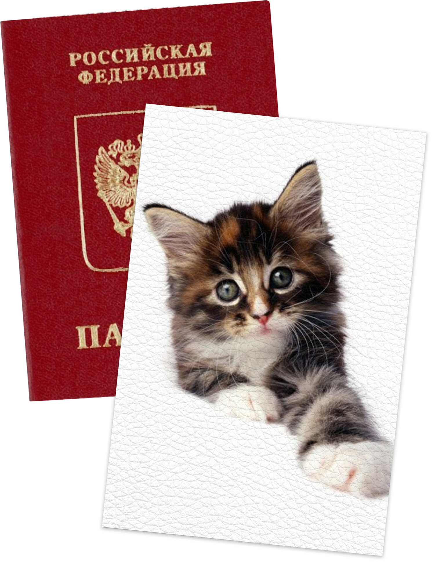 Обложка для паспорта