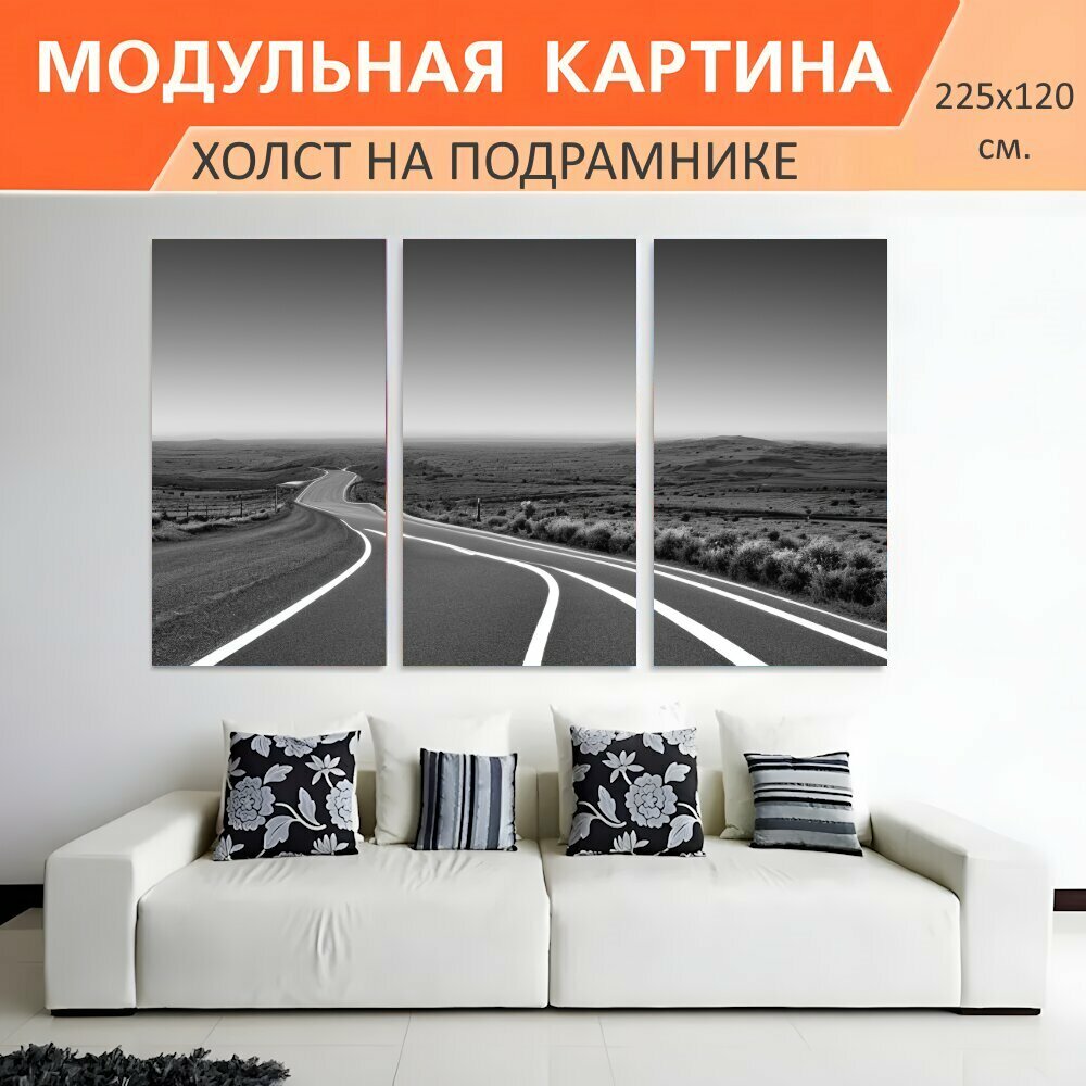 Модульная картина на холсте "Черно белый пейзаж с дорогой" триптих на подрамнике 225х120 см. для интерьера
