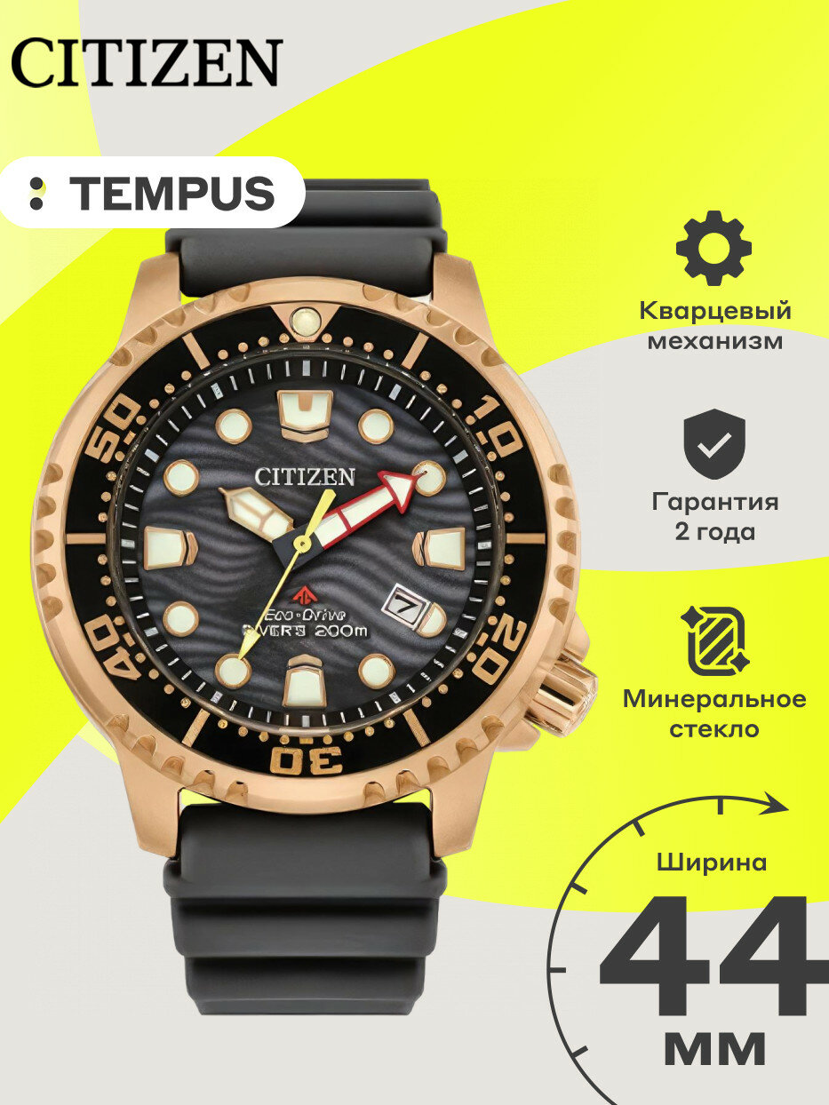 Наручные часы Promaster