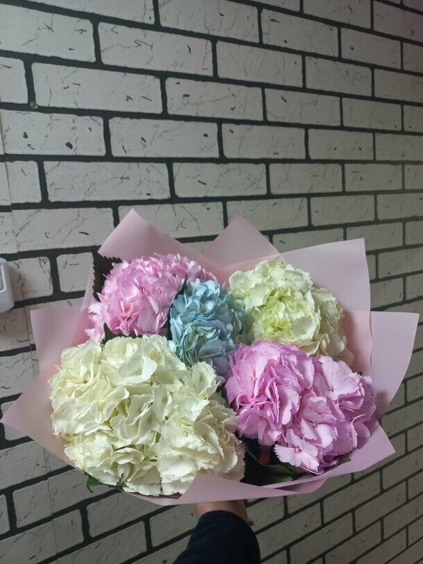 Букет Well Flowers, круглый, на стеблях, 5 гортензий, букет свежих цветов
