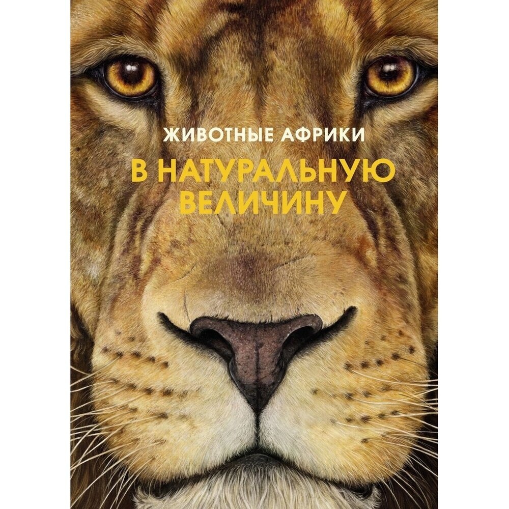 Книга Machaon Животные Африки в натуральную величину. 2022 год, Х. Хольгер