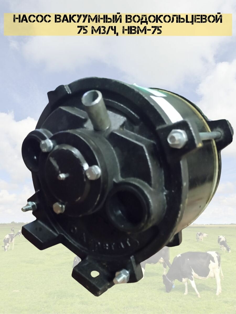 Насос вакуумный НВМ-75, водокольцевой, 75м3/ч, стальной корпус