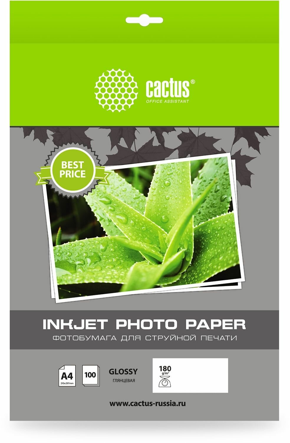 Фотобумага CACTUS A4, 180 г/м2, 100 л, глянцевая, для струйной печати (CS-GA4180100ED)