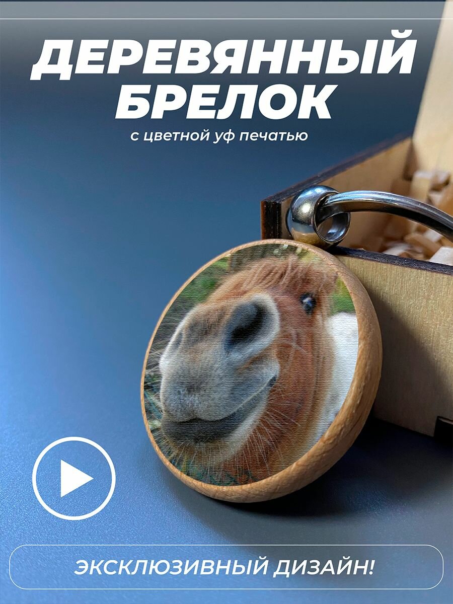 Брелок PNP