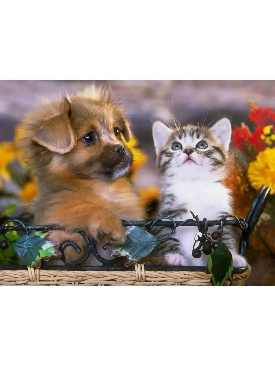 Алмазная мозаика "Щенок и котенок"