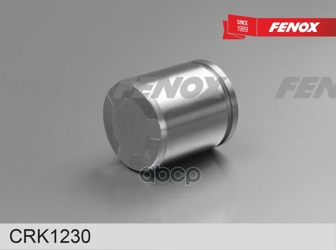Ремкоплект тормозного суппорта VW Passat B1 (32) 75-80 Audi 80 B2 (811 813 814 819 853) 78-87 FENOX арт. crk1230