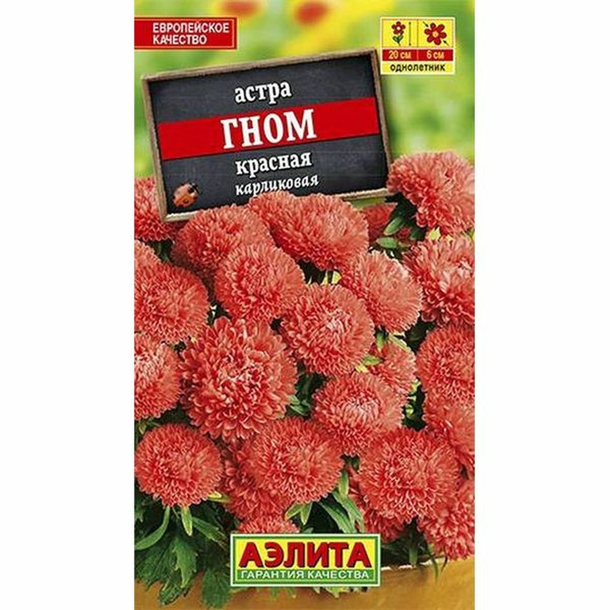 Семена Астра Гном красная, однолетник, Л/П, Аэлита, 1 пачка - 0.2г семян
