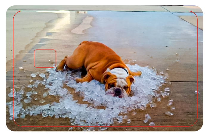 Наклейка на банковскую карту, стикер на карту, собака