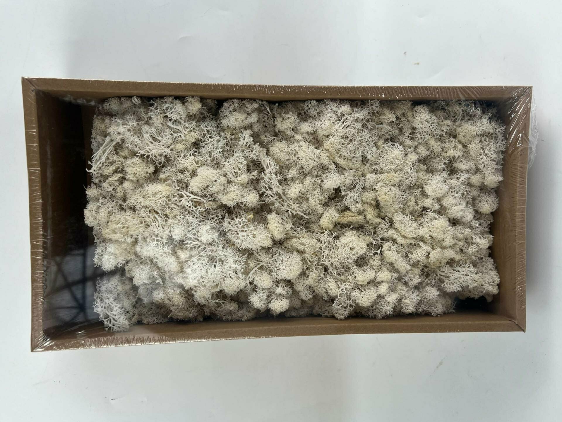 Стабилизированный мох Grass of Dreams "Юньнань" mzchc-0035, белый, 100% натуральный