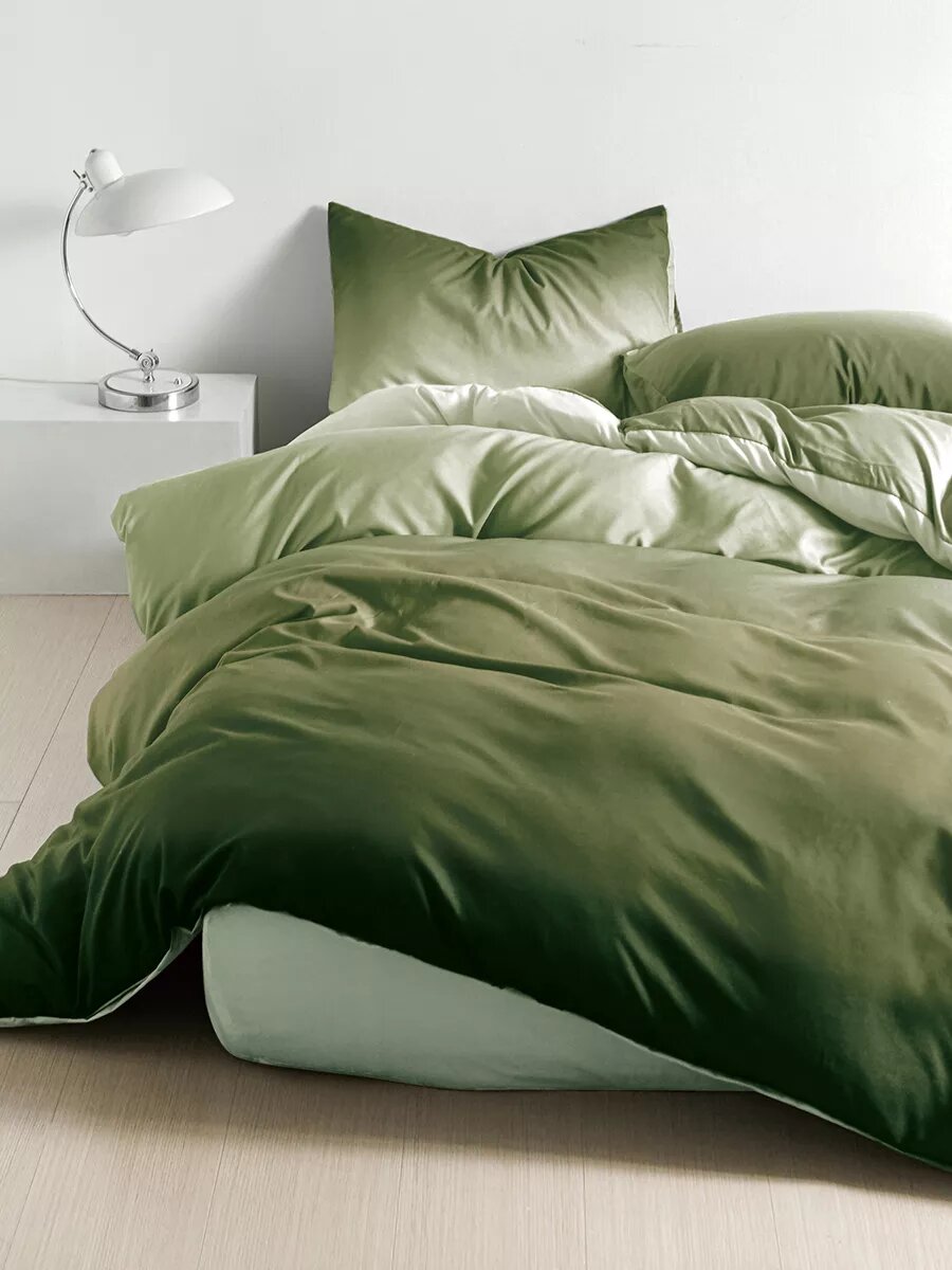 Постельное белье 2 спальное наволочки 70х70 Dream Fly