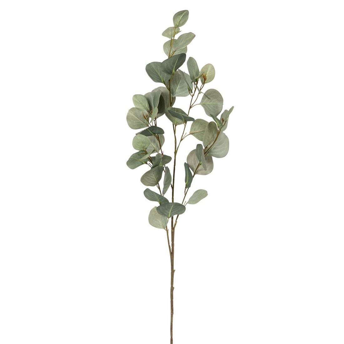Ветка декоративная "Эвкалипт" #108367-800 Fiebiger Floristik 100 см