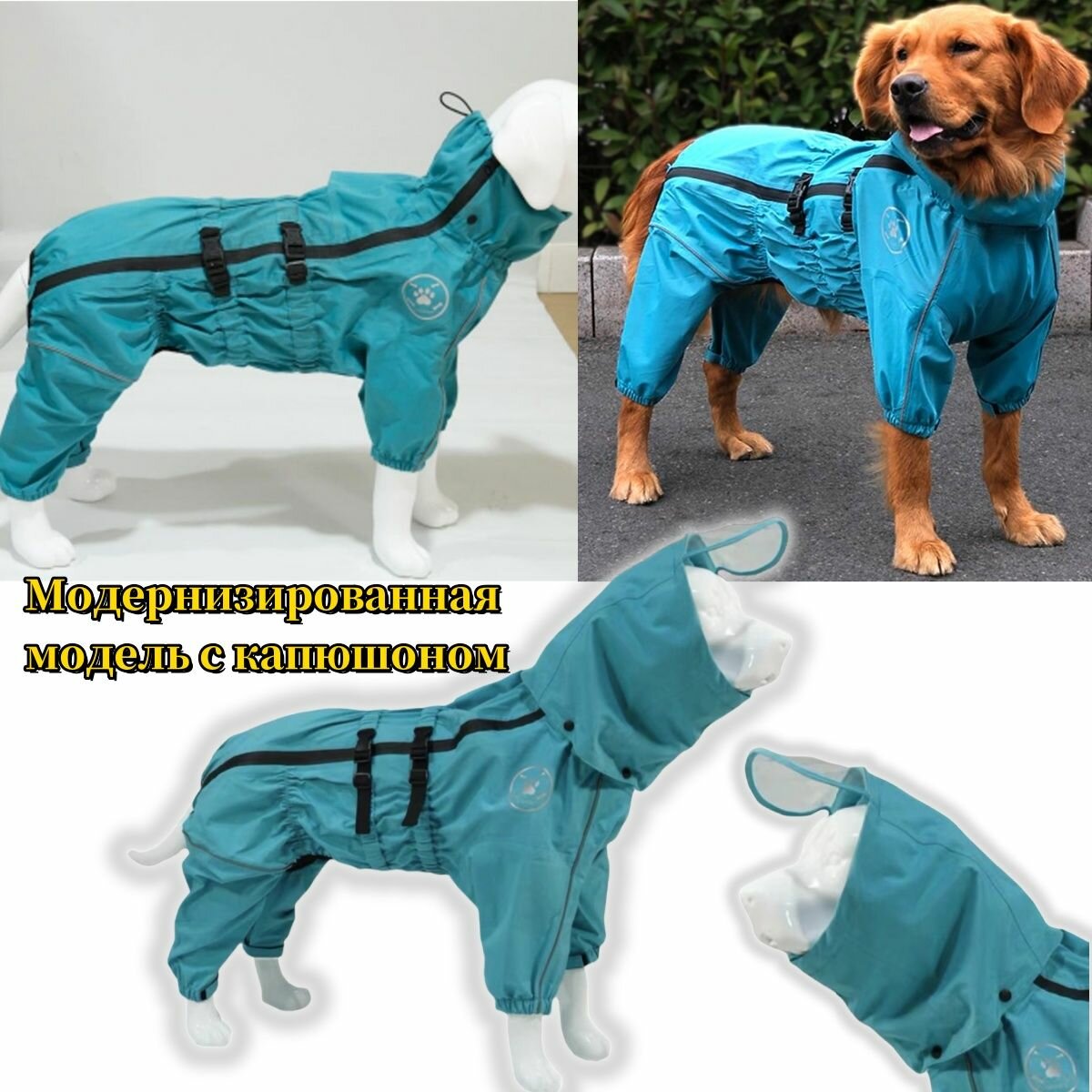 Одежда для животных — фото 1