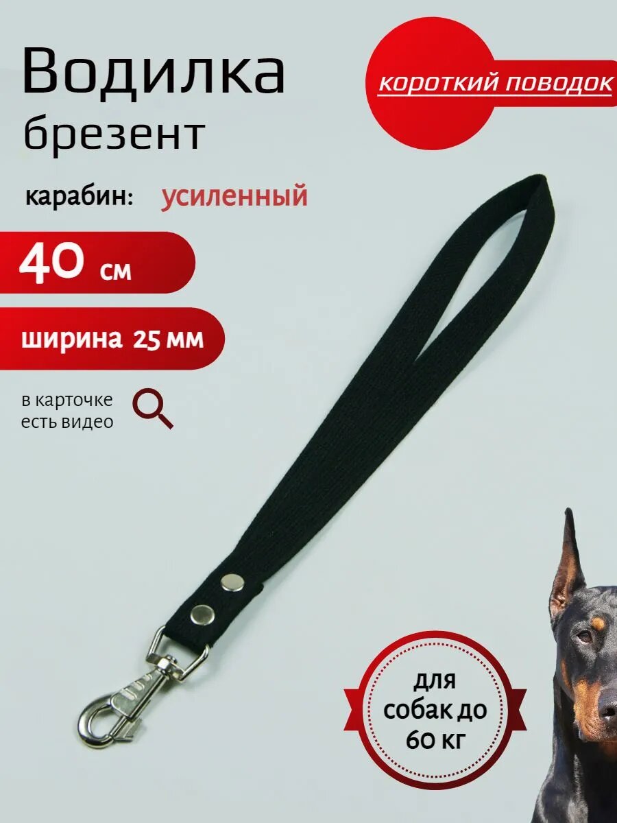 Водилка Хвостатыч для собак с карабином брезент 40 см х 25 мм (черный)